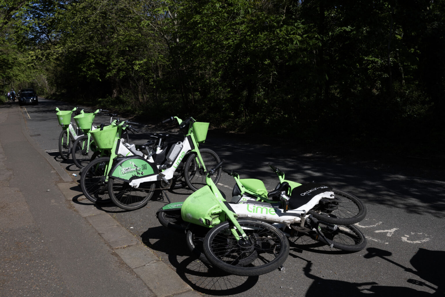 Residents urge Council to rethink Lime bike ban - as petition hits over ...